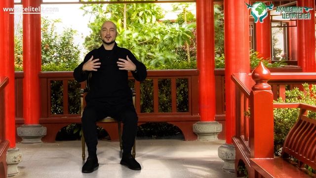 Дыхательная гимнастика сидя Комплекс 'ЧАЙКА' Константин Перо. Академия Целителей.mp4