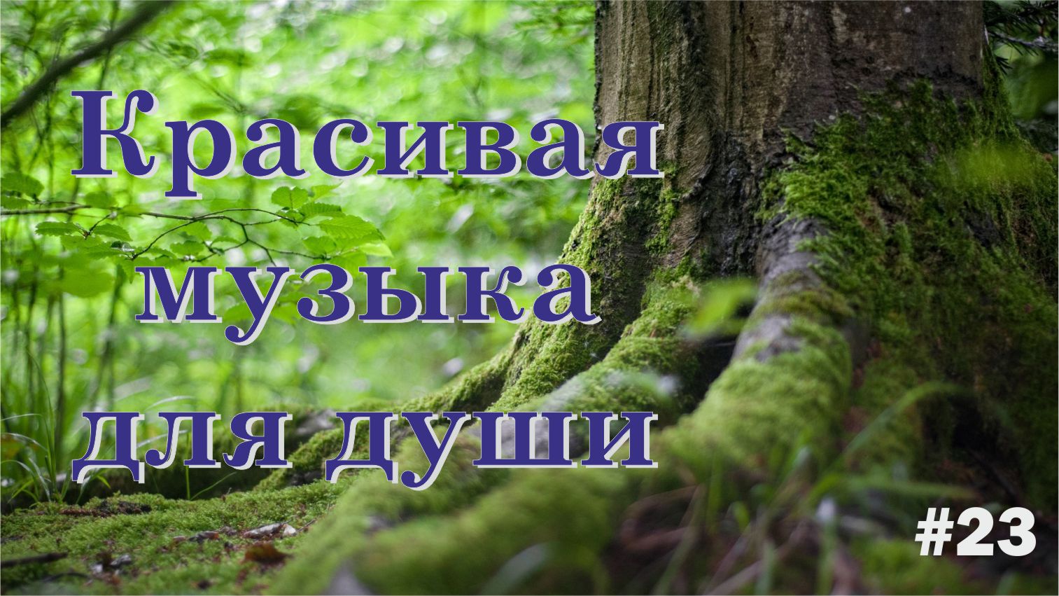 Красивая музыка для души