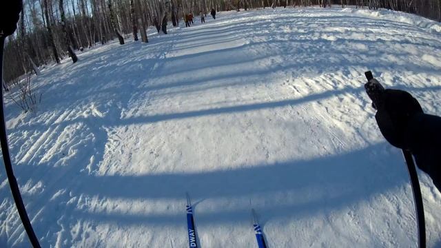 Вставай на лыжи!!!