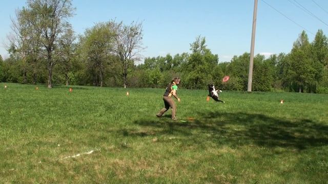 USDDN World Finals Qualifier. Елена и Мышь 3 раунд.mp4