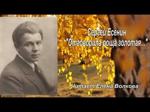 Сергей Есенин  Отговорила роща золотая