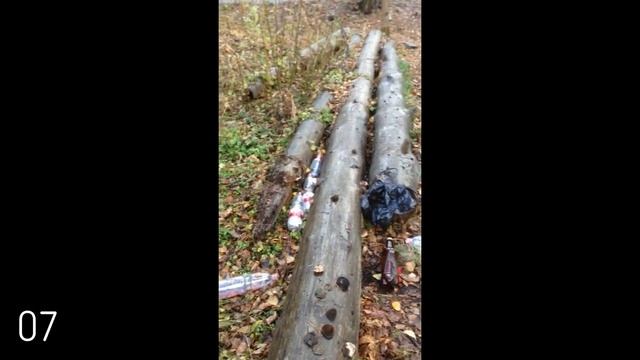 Орехово-Зуево лесополоса  #134.mp4