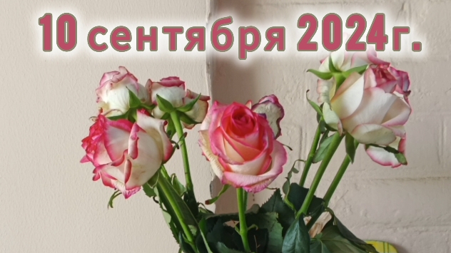 Первый день домохозяйки 10-09-2024