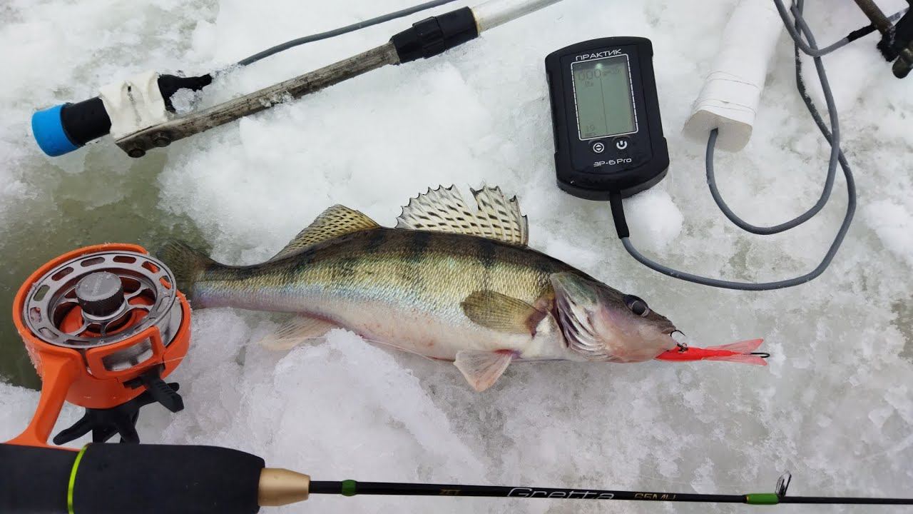 На что ловить судака в глухозимье? Рыбалка на Оке зимой 2024, ловля на балансиры.