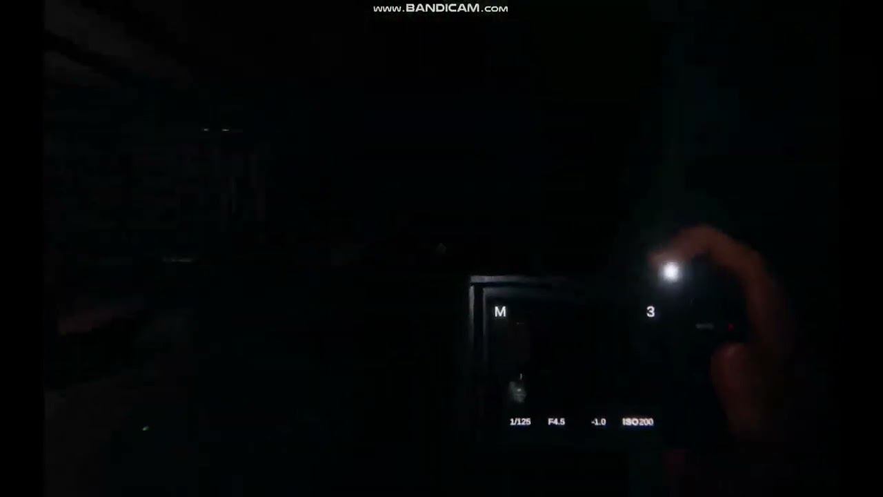 PHASMOPHOBIA, БАГИ, ПРИКОЛЫ, ФЕЙЛЫ #1.