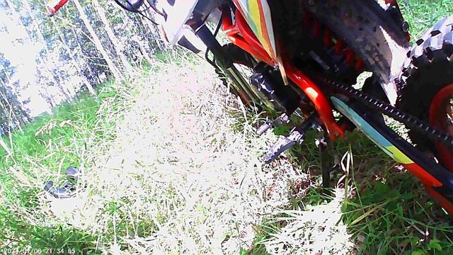 Питбайк. Езда на мотоцикле. Лес природа красота.