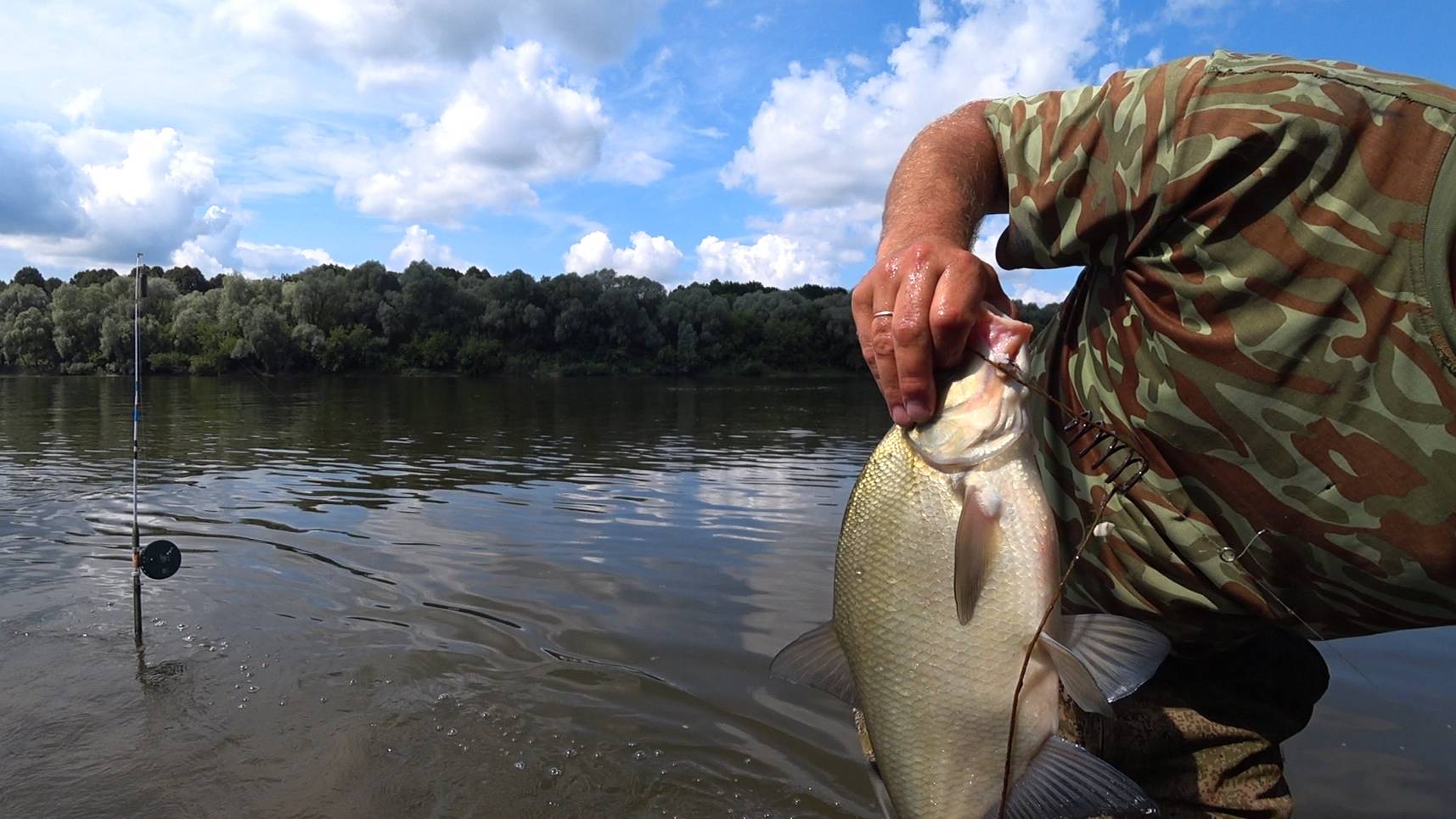 Эта снасть на леща, не дает ему шансов. Переоснащение пружин. Рыбалка с ночёвкой.