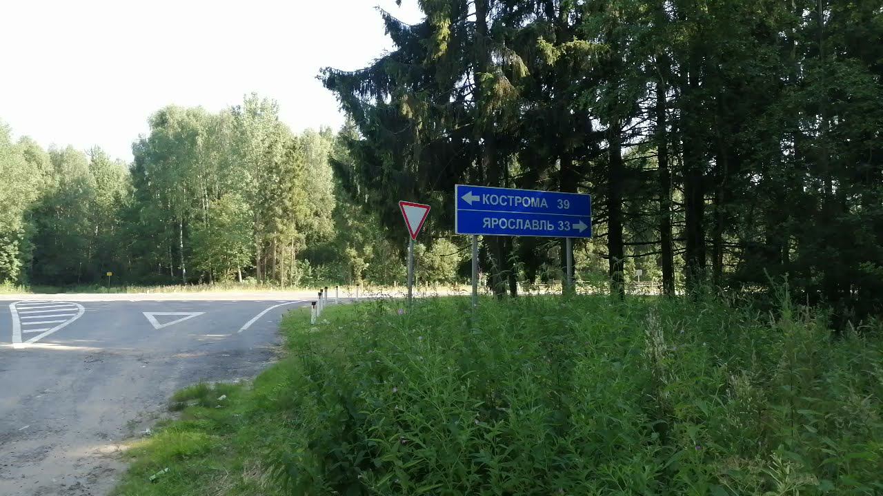 Между Костромой и Ярославлем. Яблони в лесу.