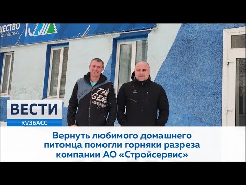 Вернуть любимого домашнего питомца помогли горняки разреза компании АО 'Стройсервис'