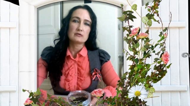 Глоксинья из семян.Посадка