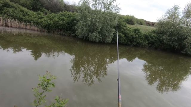Рыбалка на сазана. Ловля на поплавочную удочку.