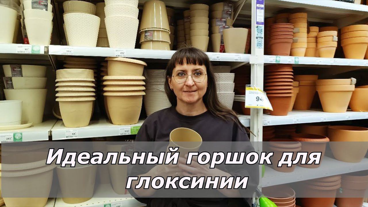 Лучший горшок для глоксинии