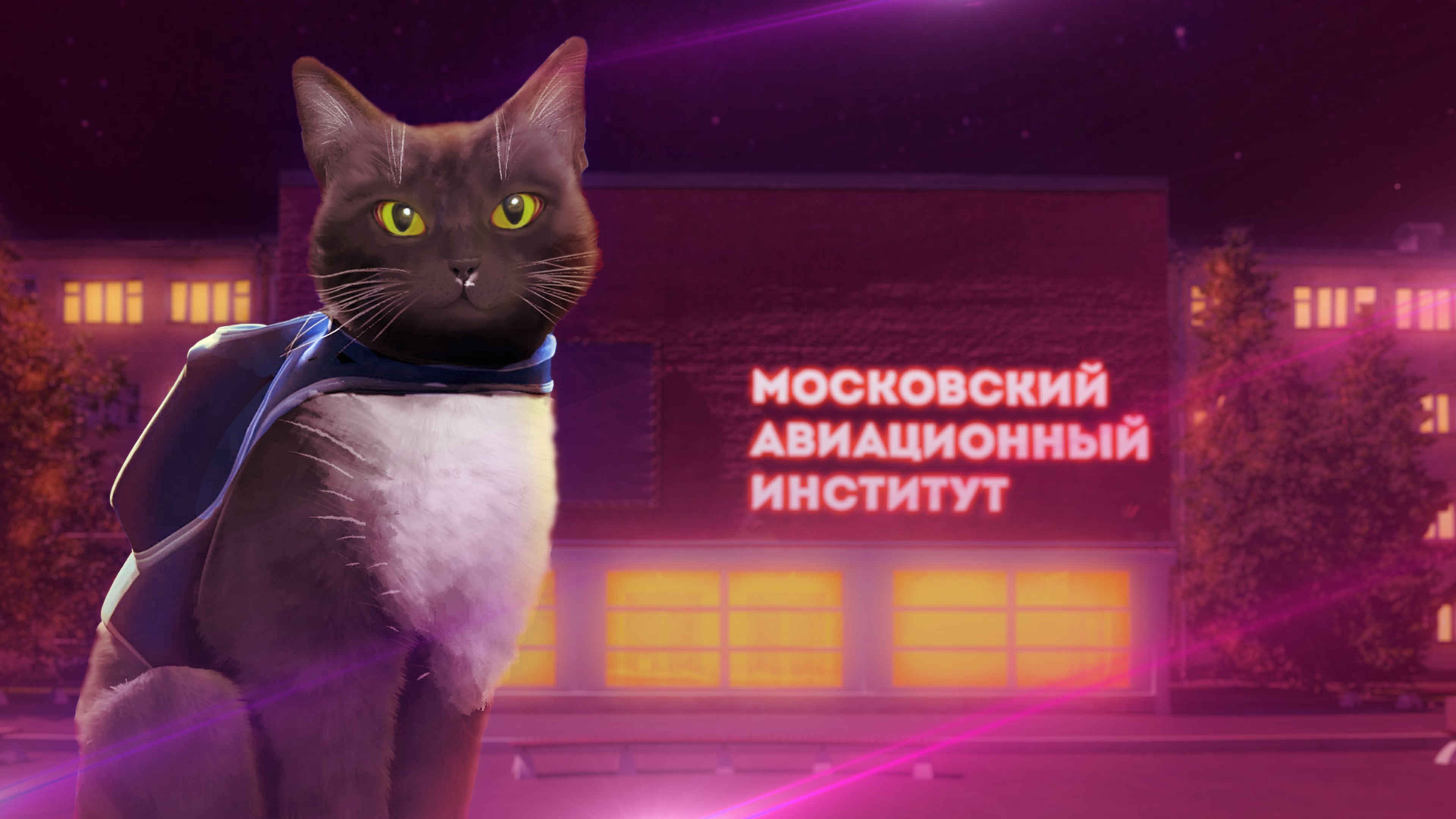 IT-CAT MAI GAME | ЗАПРОГРАММИРУЙ СЕБЯ НА УСПЕХ