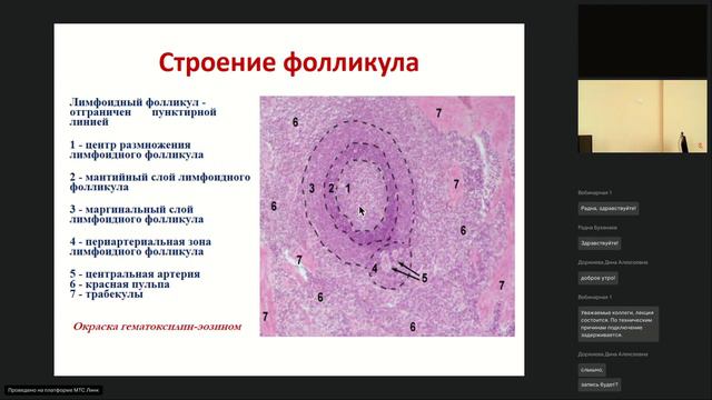 Вебинар 4. Лабораторная диагностика