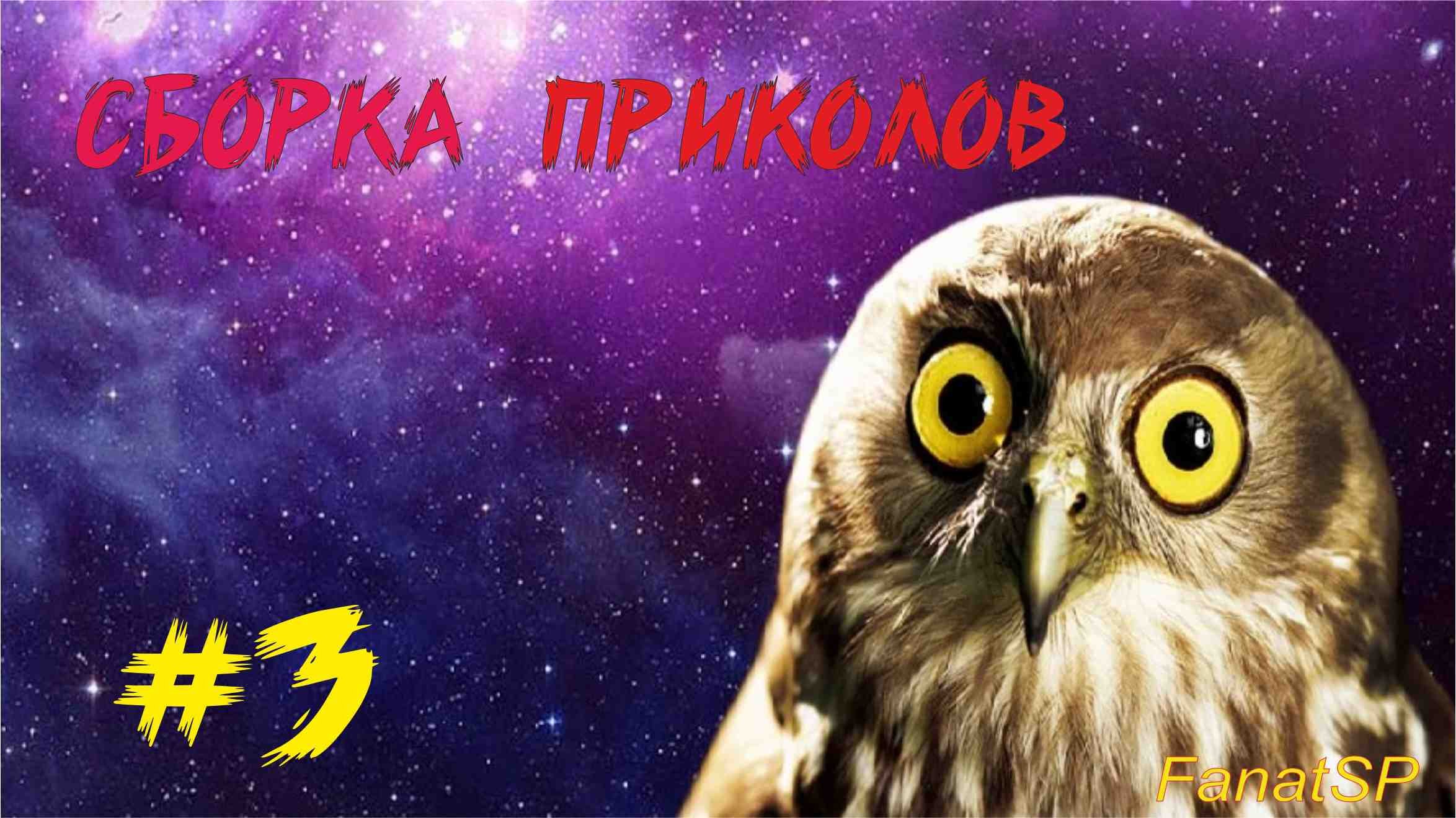 Смешные приколы