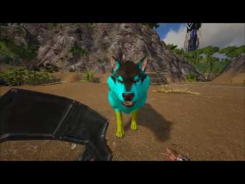 ARK: Survival Evolved карта Ragnarok ПРИРУЧЕНИЕ ЛЮТОВОЛКА