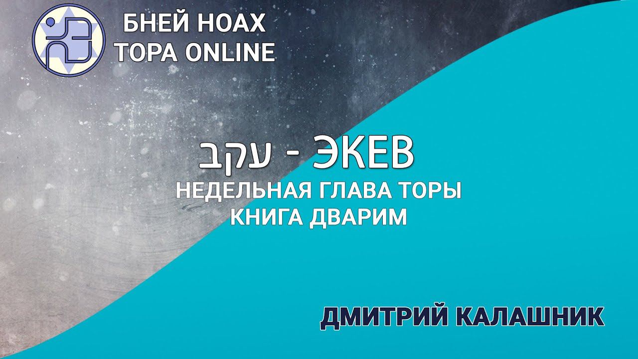 Недельная глава Торы - Парашат а-шавуа - "Экев" 5784/2024. Дмитрий Калашник