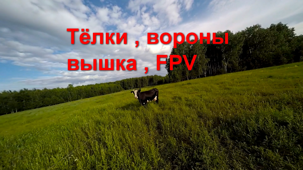FPV полет . Там где раньше было озеро .