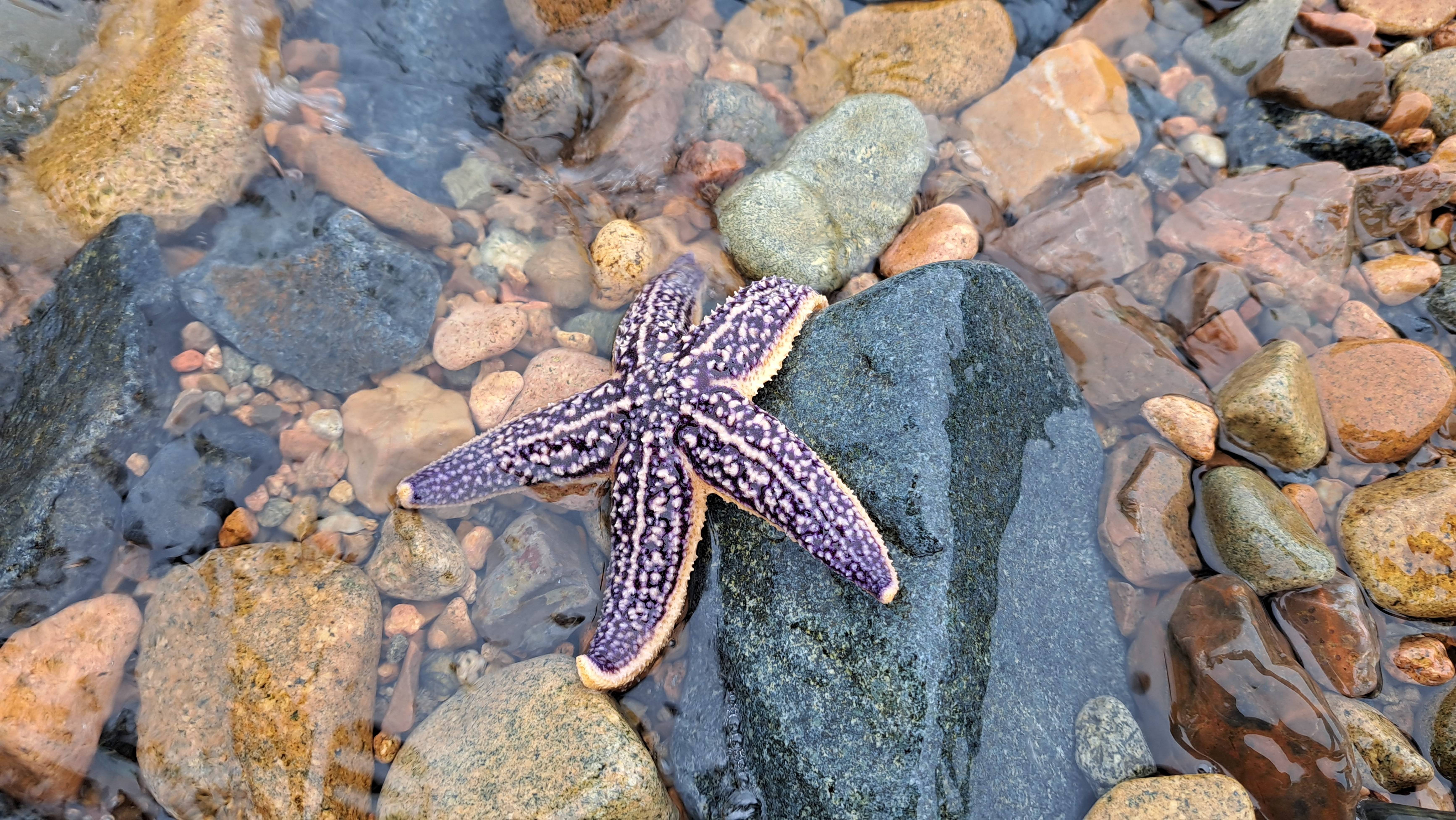 Дорога на остров. (часть 2)