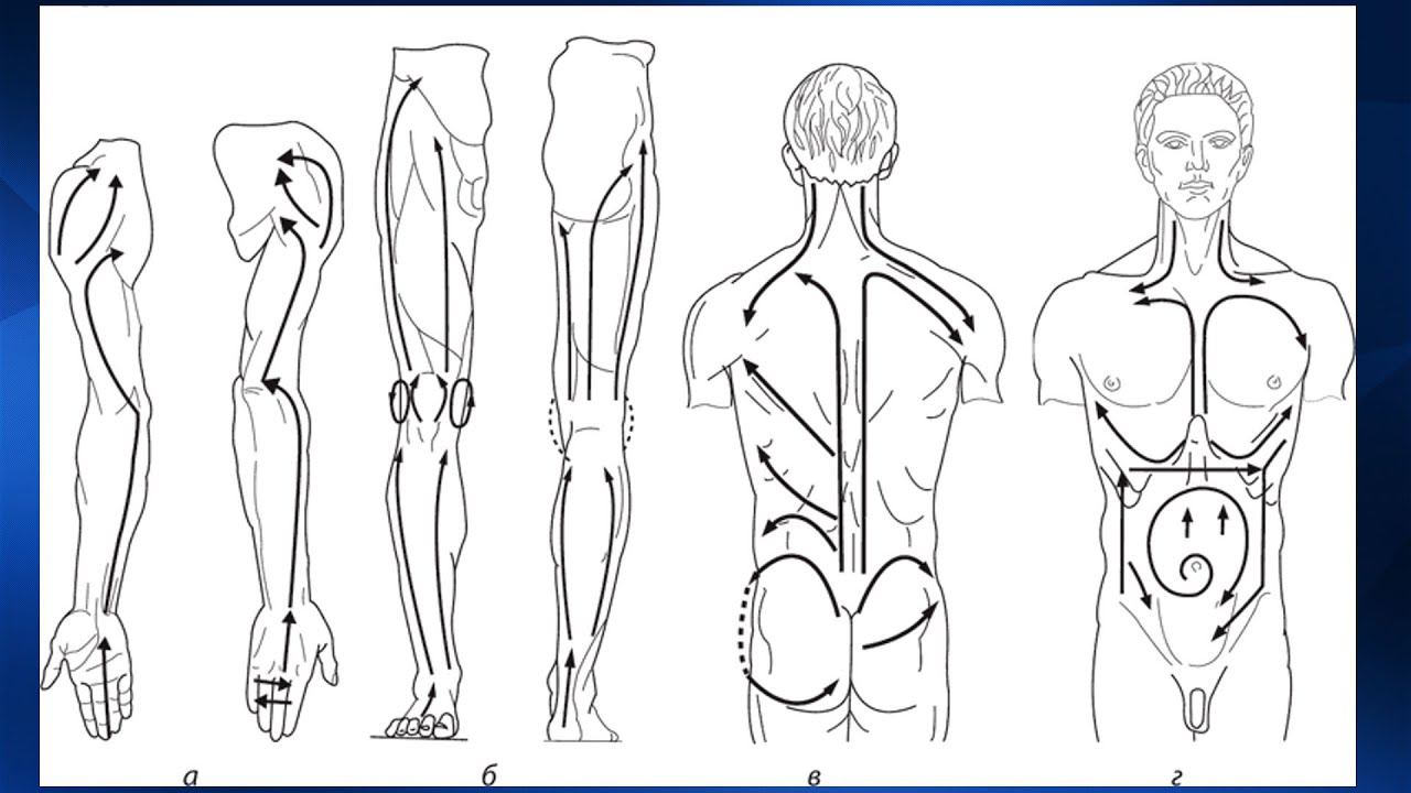 1.20 Массаж отдельных зон. Обзор | Классический массаж. Цикл 1
