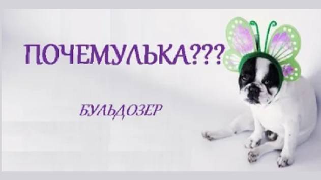 ПОЧЕМУЛЬКА? СПЕЦТЕХНИКА. БУЛЬДОЗЕР.