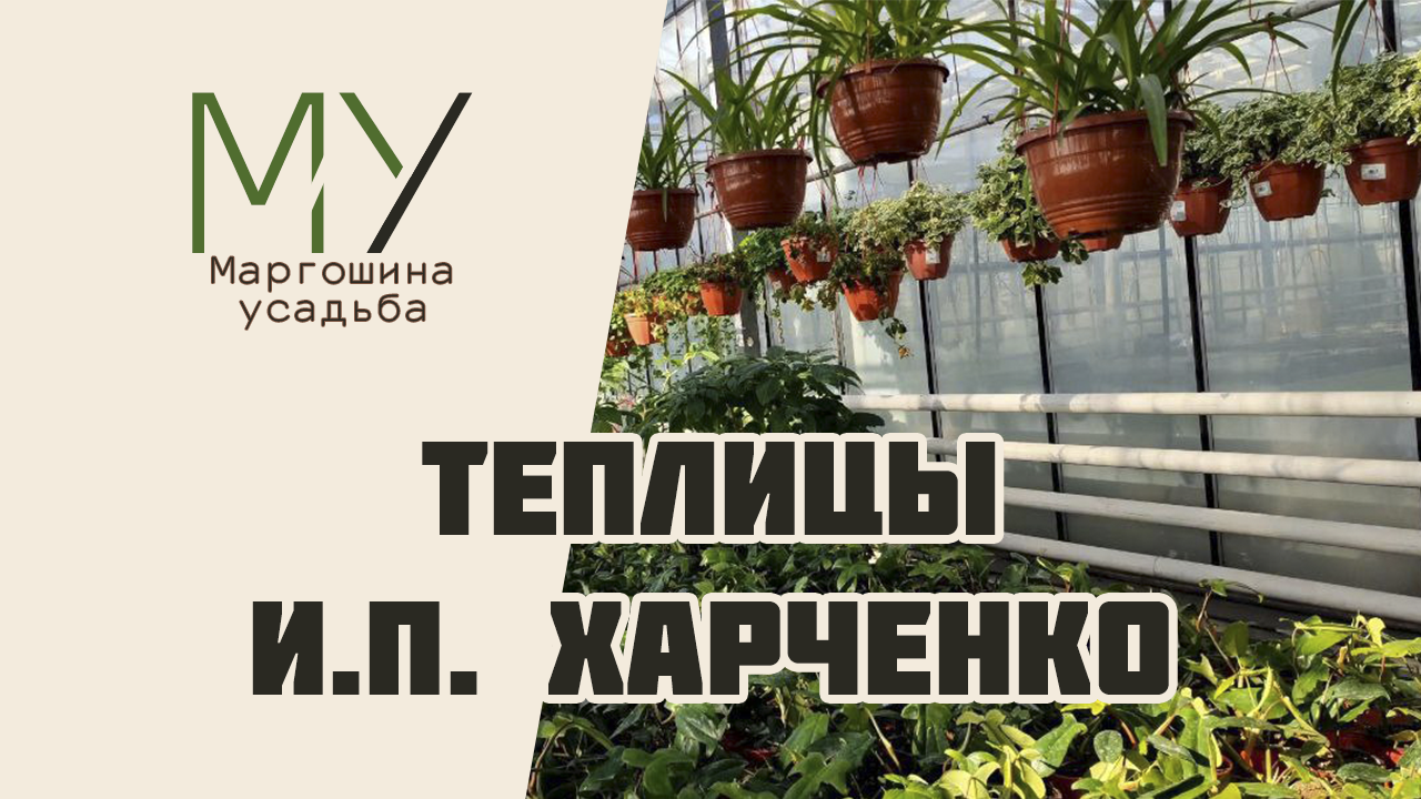 Обзор тепличного комплекса И.П. Харченко