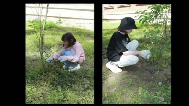 Сирень Победы.mp4