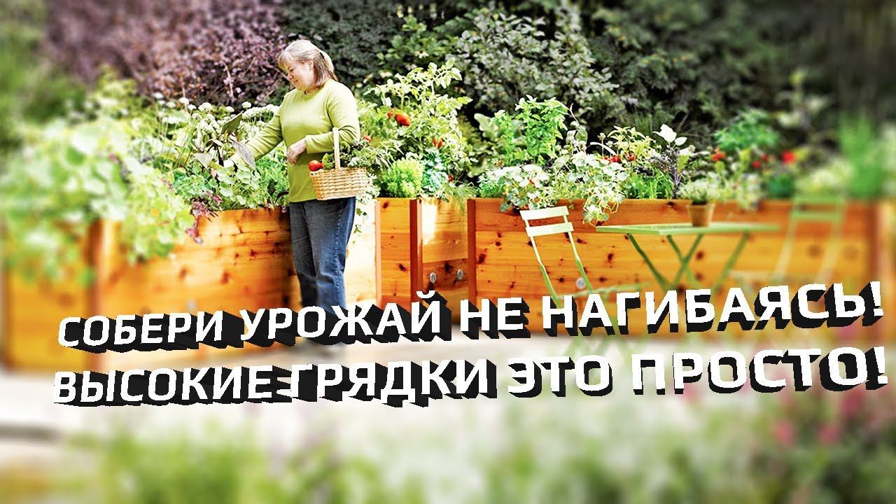 Ограждение для высокой грядки.