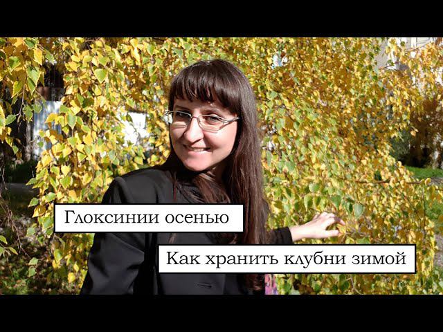 Как правильно подготовить глоксинию к периоду покоя. Хранение клубней зимой.