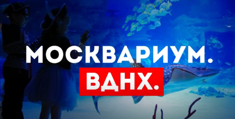 Москвариум. Москва. Сентябрь 2020