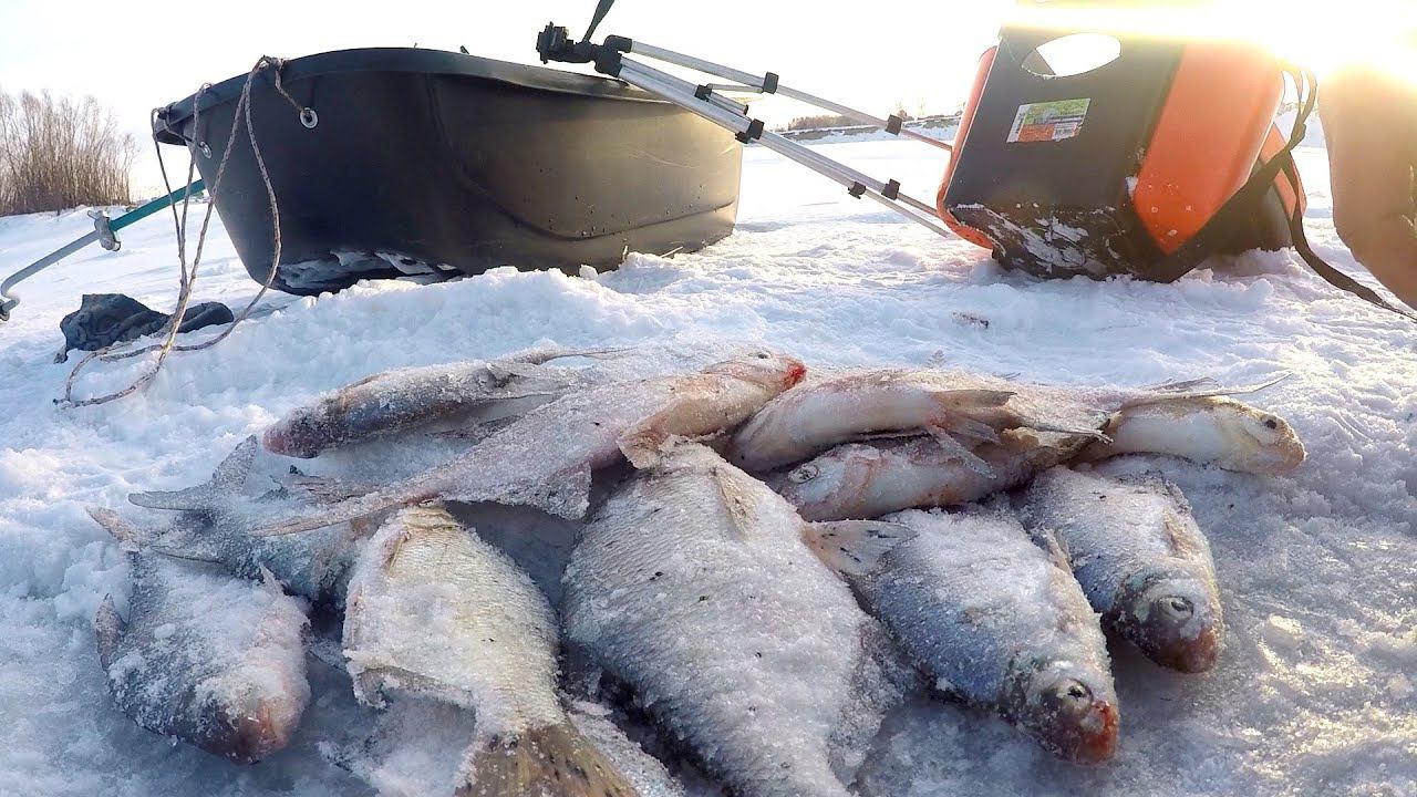 СЕКРЕТЫ ЛОВЛИ В ГЛУХОЗИМЬЕ. Какая ПРОВОДКА? КАКУЮ ПРИМАНКУ выбрать? рыбалка на Оби