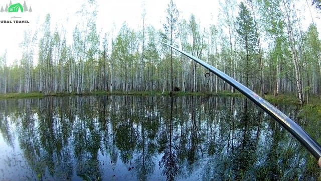 Вечерняя рыбалка на болоте 13.05.2020.