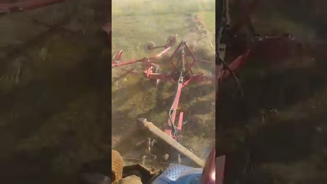 Сенокос в полном разгаре