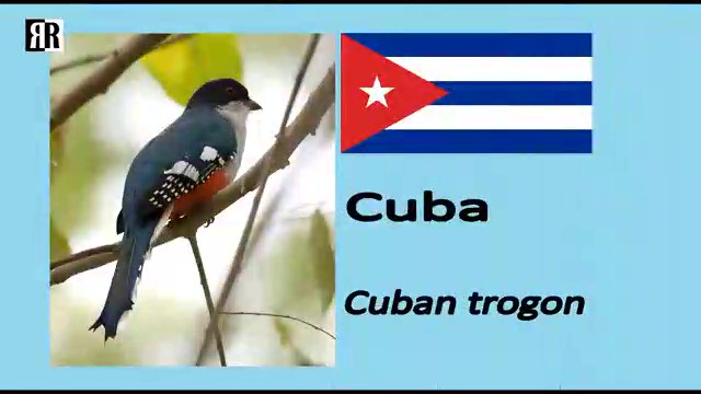 ❤️СИМВОЛЫ СТРАН (Animal - Cuba - France)