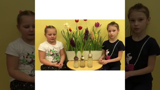 2.Малашенко Анна, Чуйкова Радмила-МДОУ-ЦРР-детский сад №34-Жуковский-Праздник цветов на окне.mp4