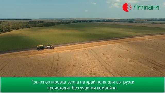 Безостановочная уборка зерна с бункером-перегрузчиком в ООО КУРГАНОВСКИЙ. Пензенская область