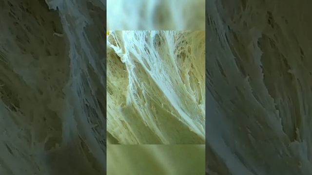 Тесто как паутинка для хлеба на закваске