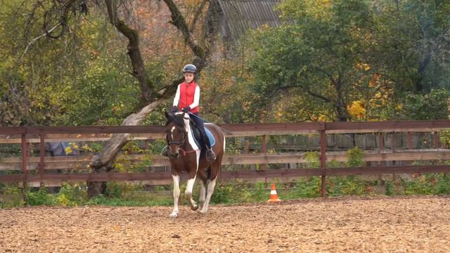 Джекпот. КСК Лосиный остров