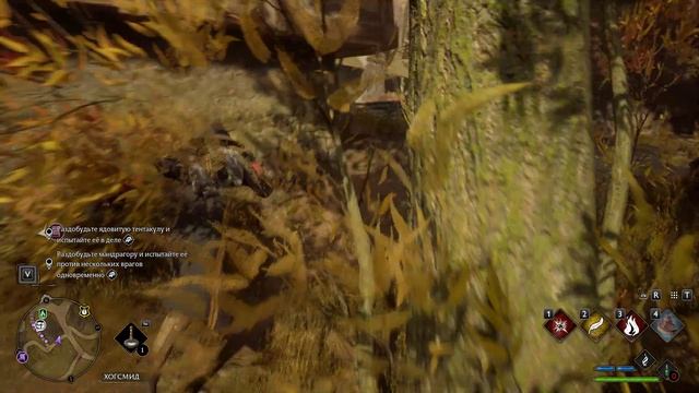 Hogwarts Legacy #16 Семена ядовитая тентакула мандрагора Больщой горшок | 
Задача профессора Чесноук