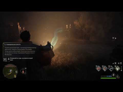 Hogwarts Legacy №24 КИТАЙСКАЯ  КАПУСТА. русская озвучка