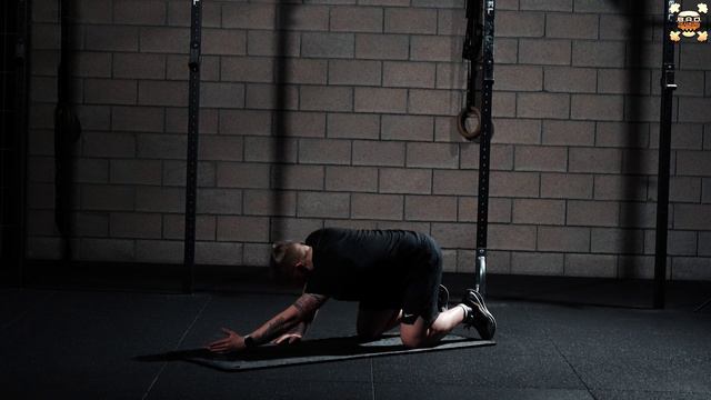 Собаки мордой вниз вверх Сгибание плеч (поочередно)  Кисти