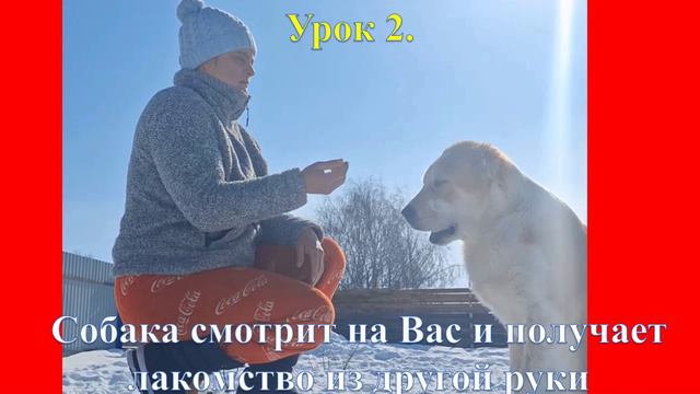 Урок 2