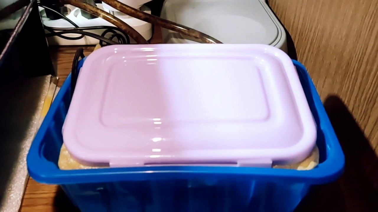 Система фильтрации в 3х литровом аквариуме