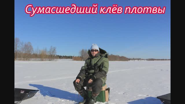 Клёв плотвы просто супер. Красота природы ранней весной.