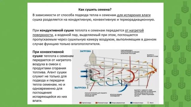 3.2 Растениеводство