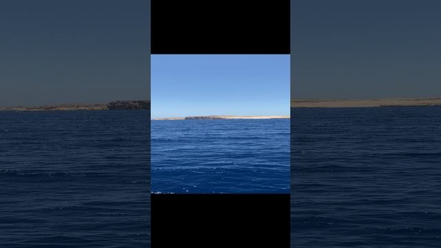Открытое море 1