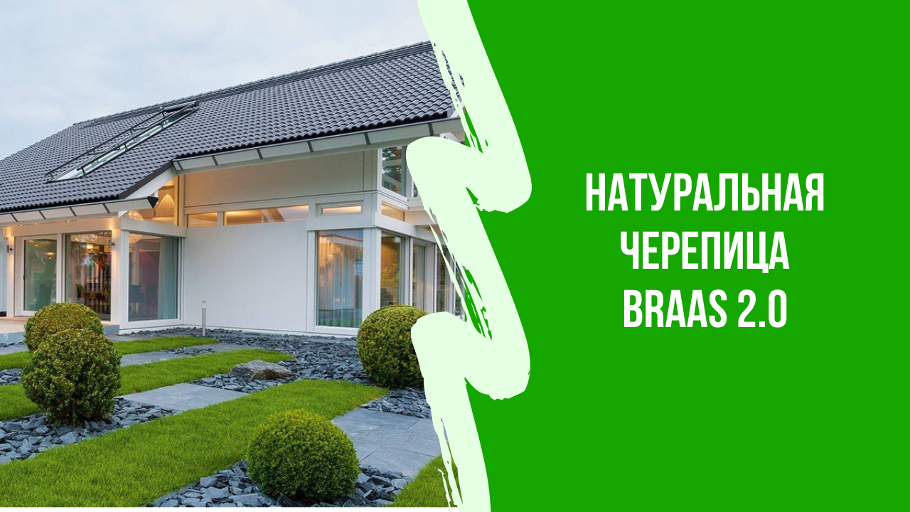 Обзор BRAAS 2.0