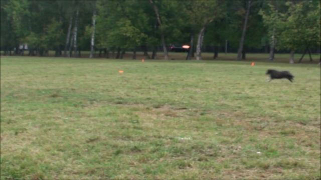 USDDN WF QUALIFIER Елена и Мышь R3.mp4