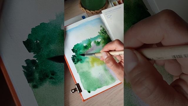 Березовая роща акварелью.