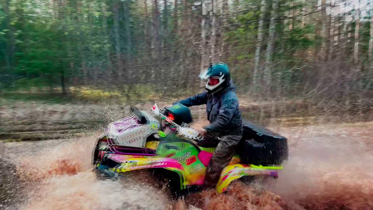 В поисках грибов подболотников